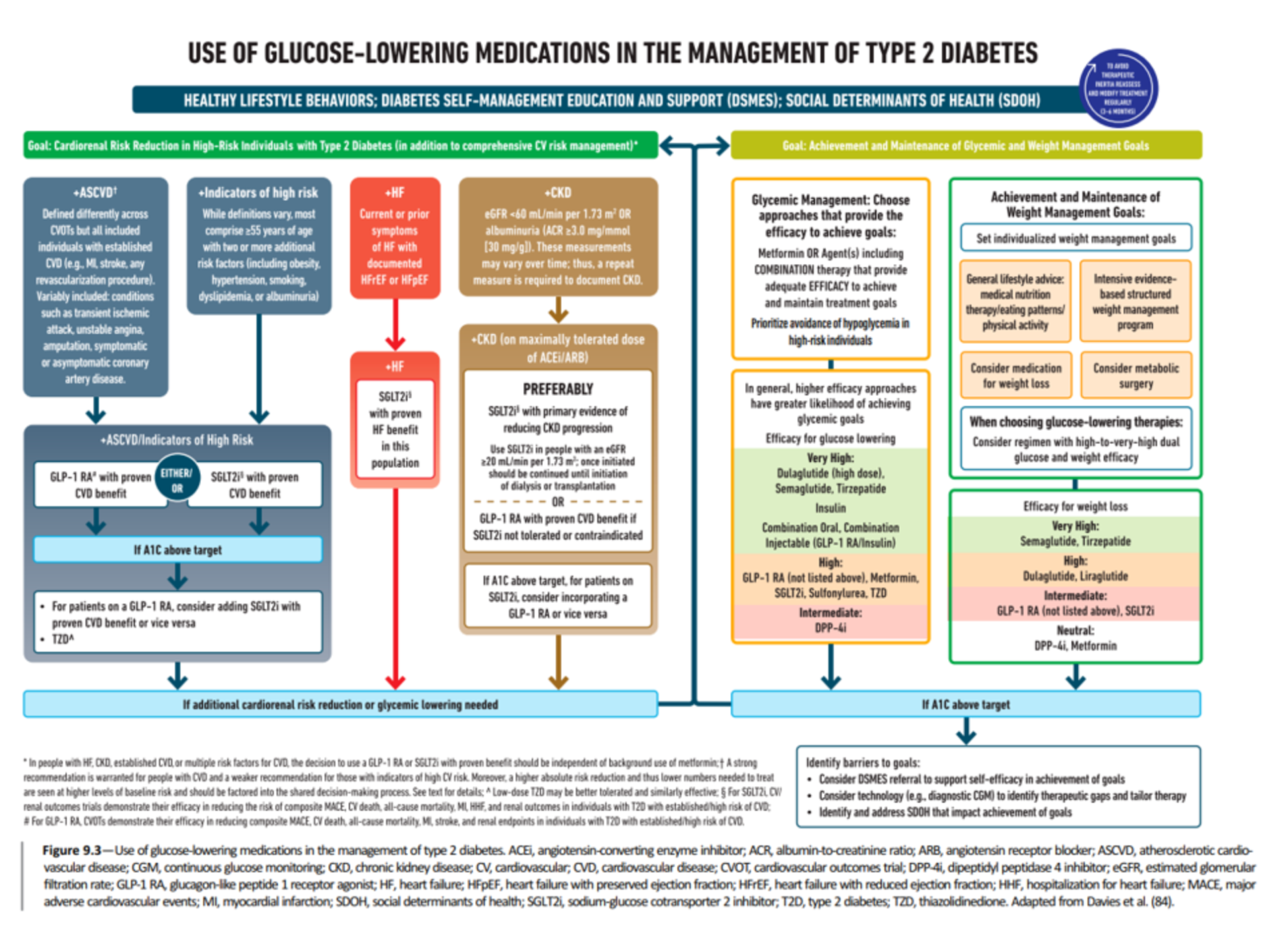 ADA Guideline Updates – LI Script